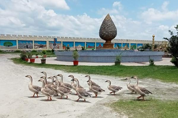 Alibaba Theme Park – Ali Group of Companies